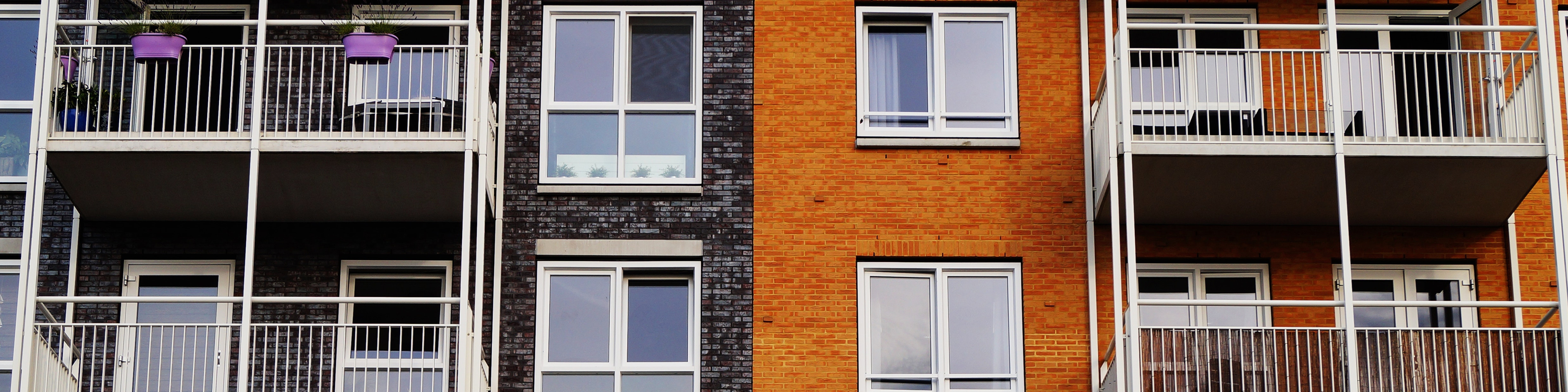 Isolation and anxiety: strategies to cope during COVID-19 - Curious